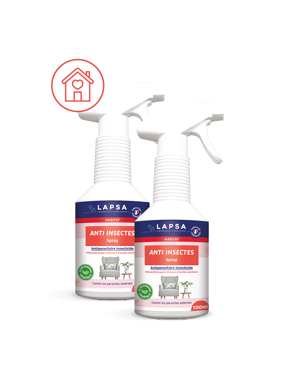 Spray Anti Insectes Maison | Ventana Blog