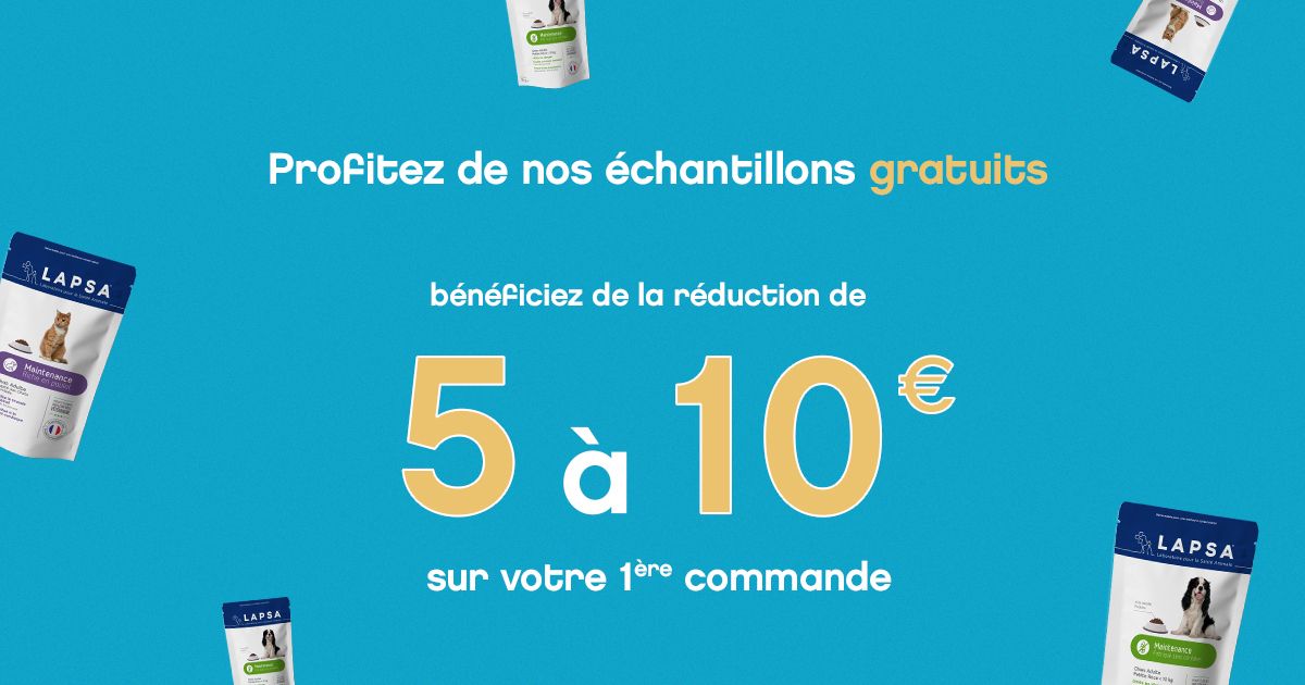 Découvrez LAPSA LAPSA