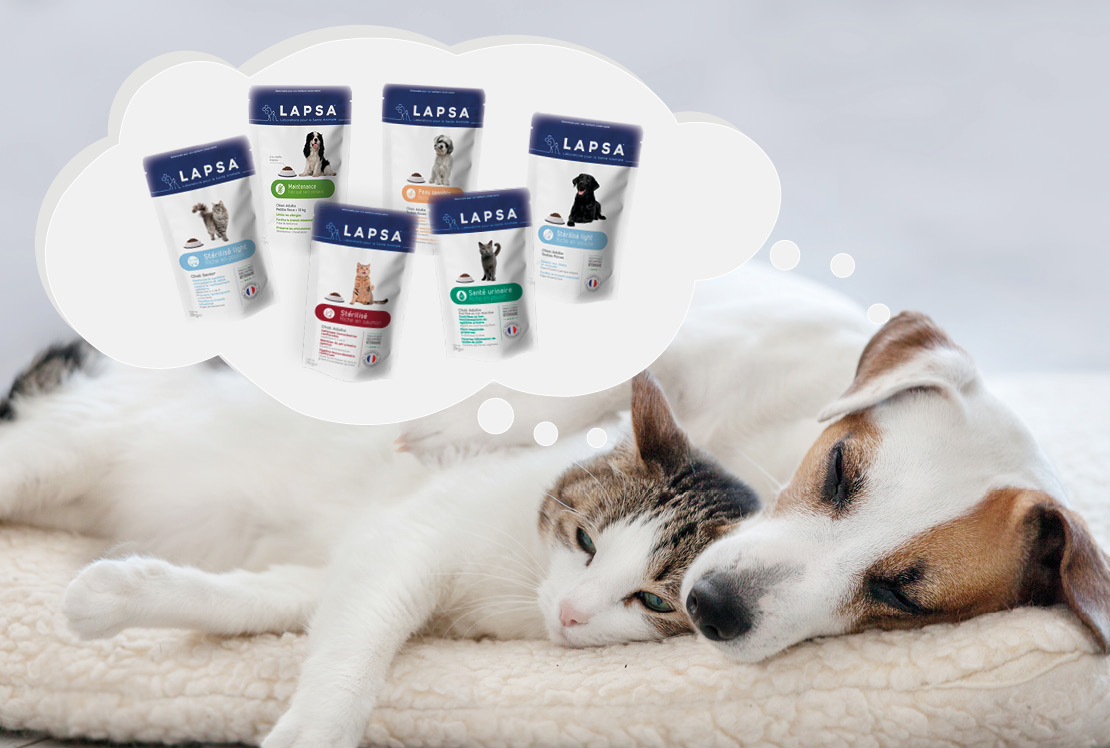 Découvrez LAPSA LAPSA